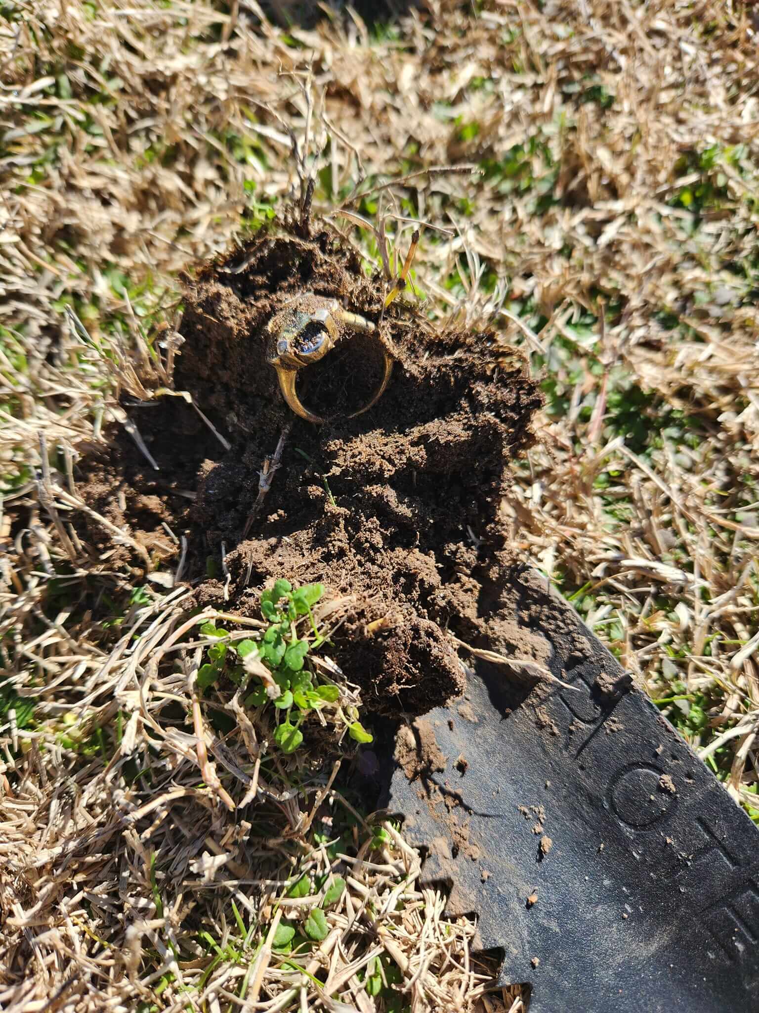 2nd Ring This Week With The Legend - Nokta Detectors